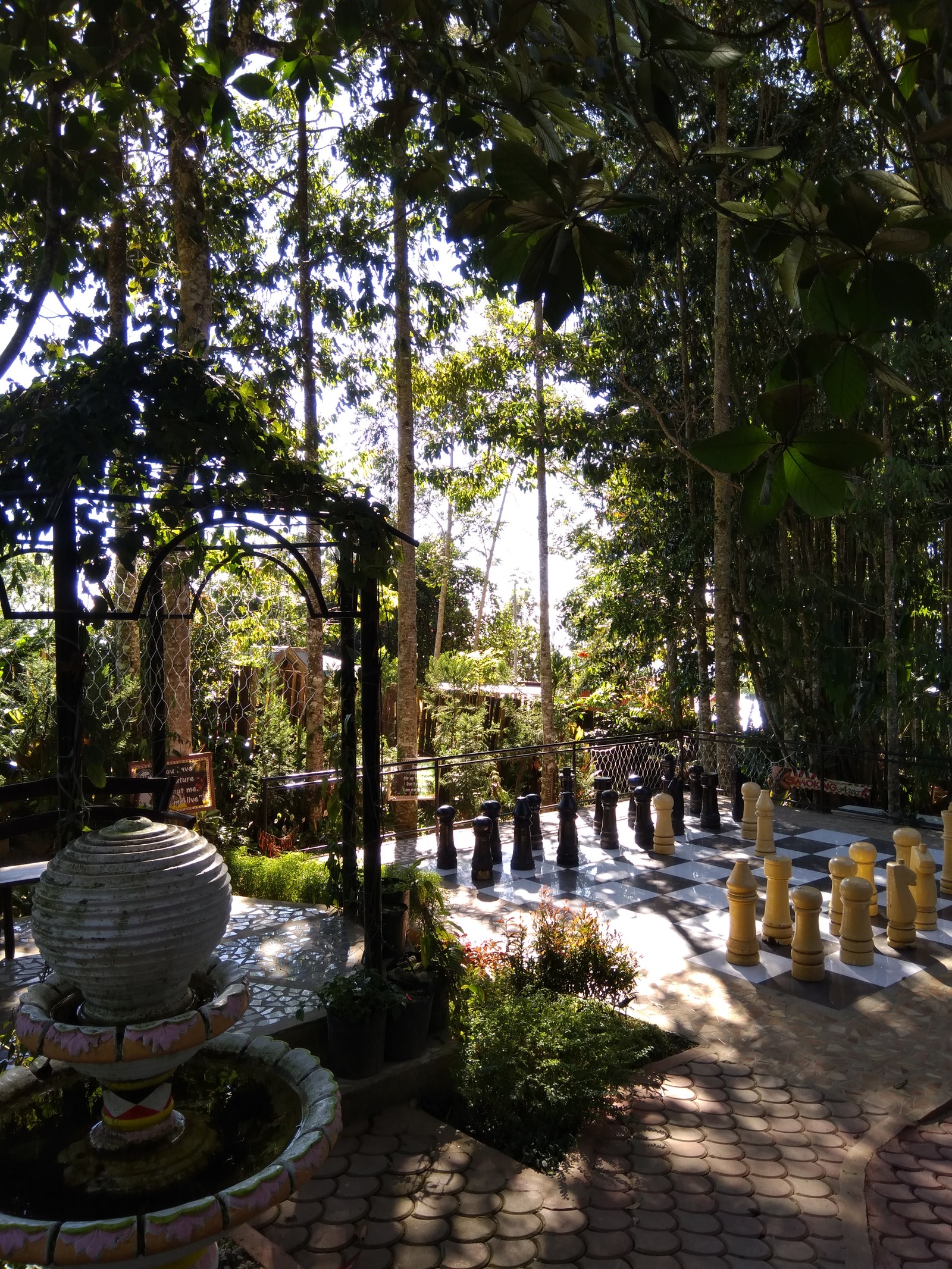 Binahon Agroforestry Farm - Philippine Food Forest