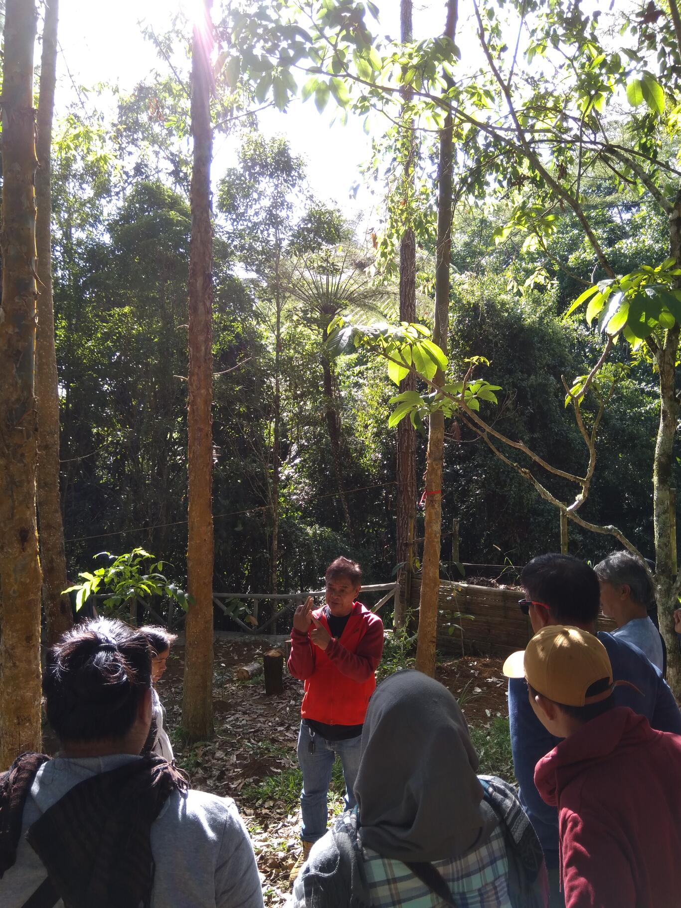 Binahon Agroforestry Farm - Philippine Food Forest