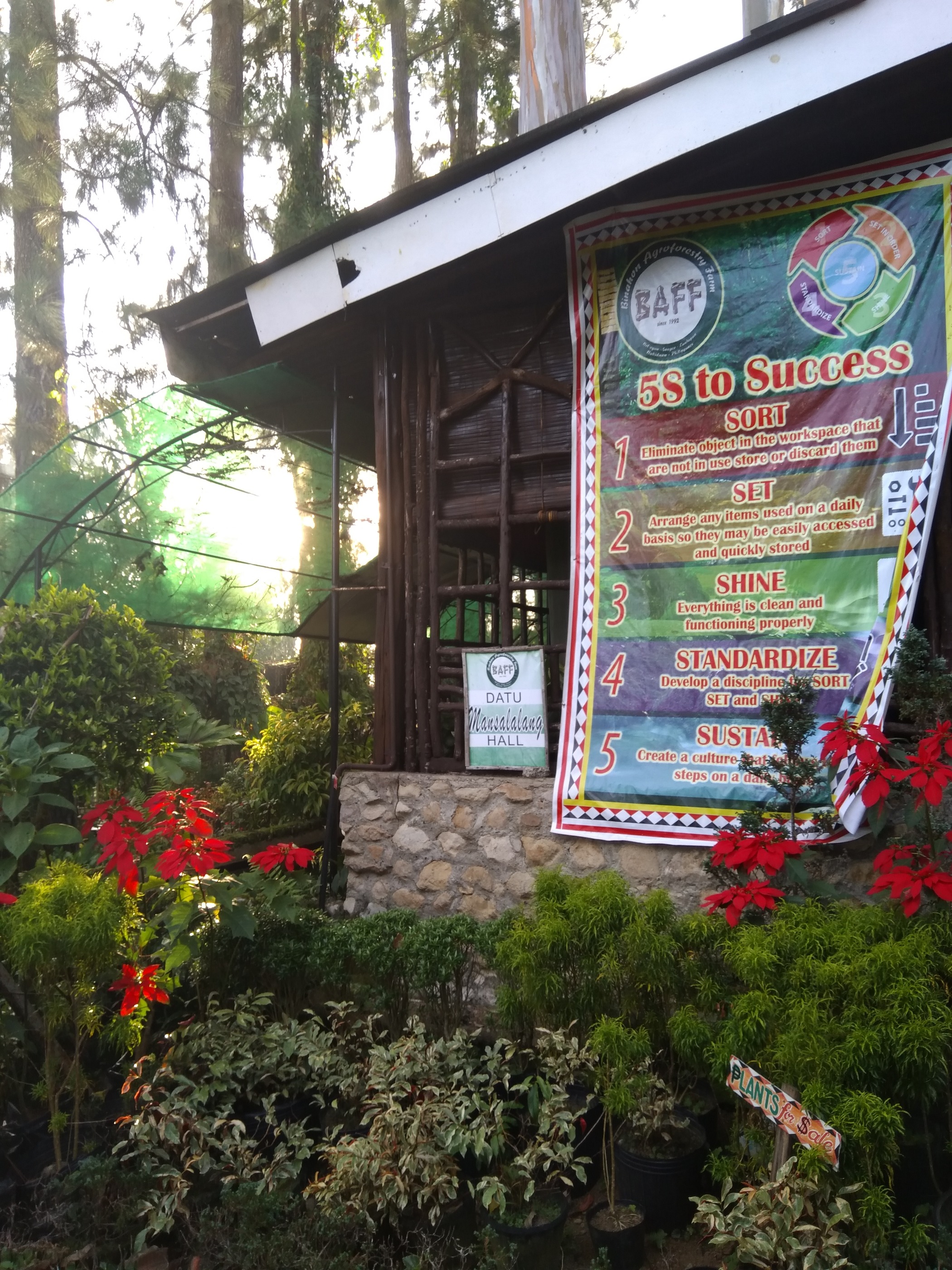 Binahon Agroforestry Farm - Philippine Food Forest